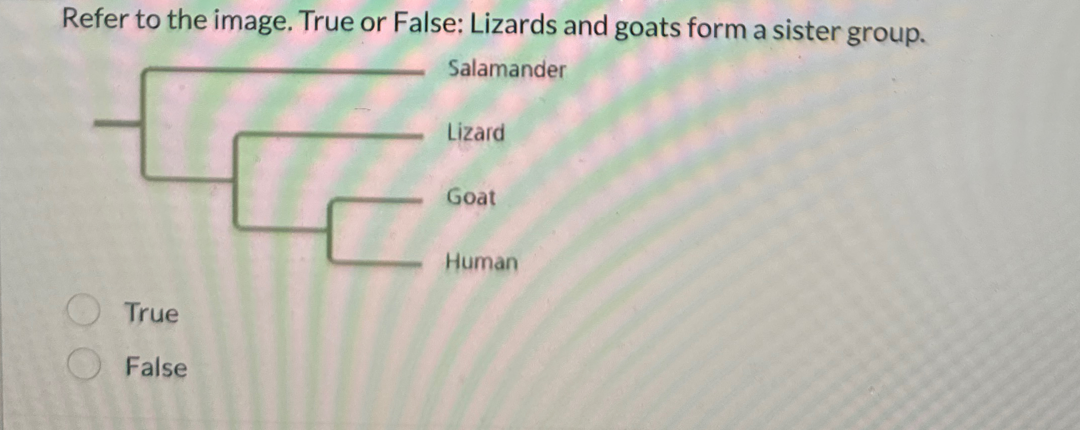 Solved Refer to the image. True or False: Lizards and goats | Chegg.com