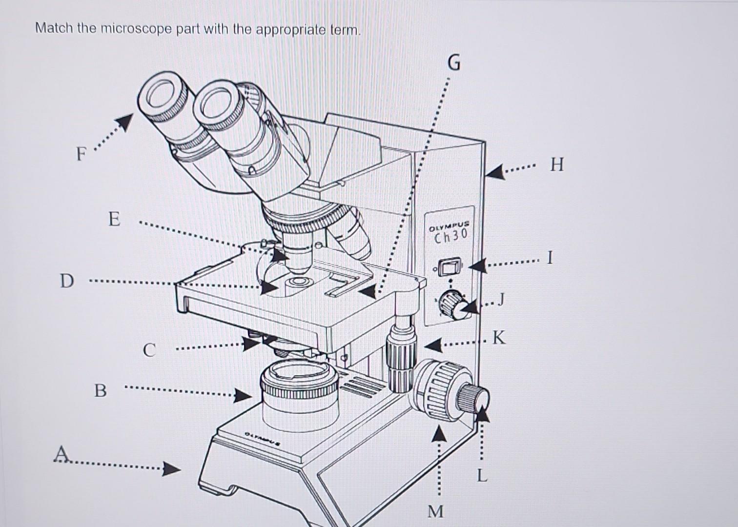 Solved Match the microscope part with the appropriate | Chegg.com