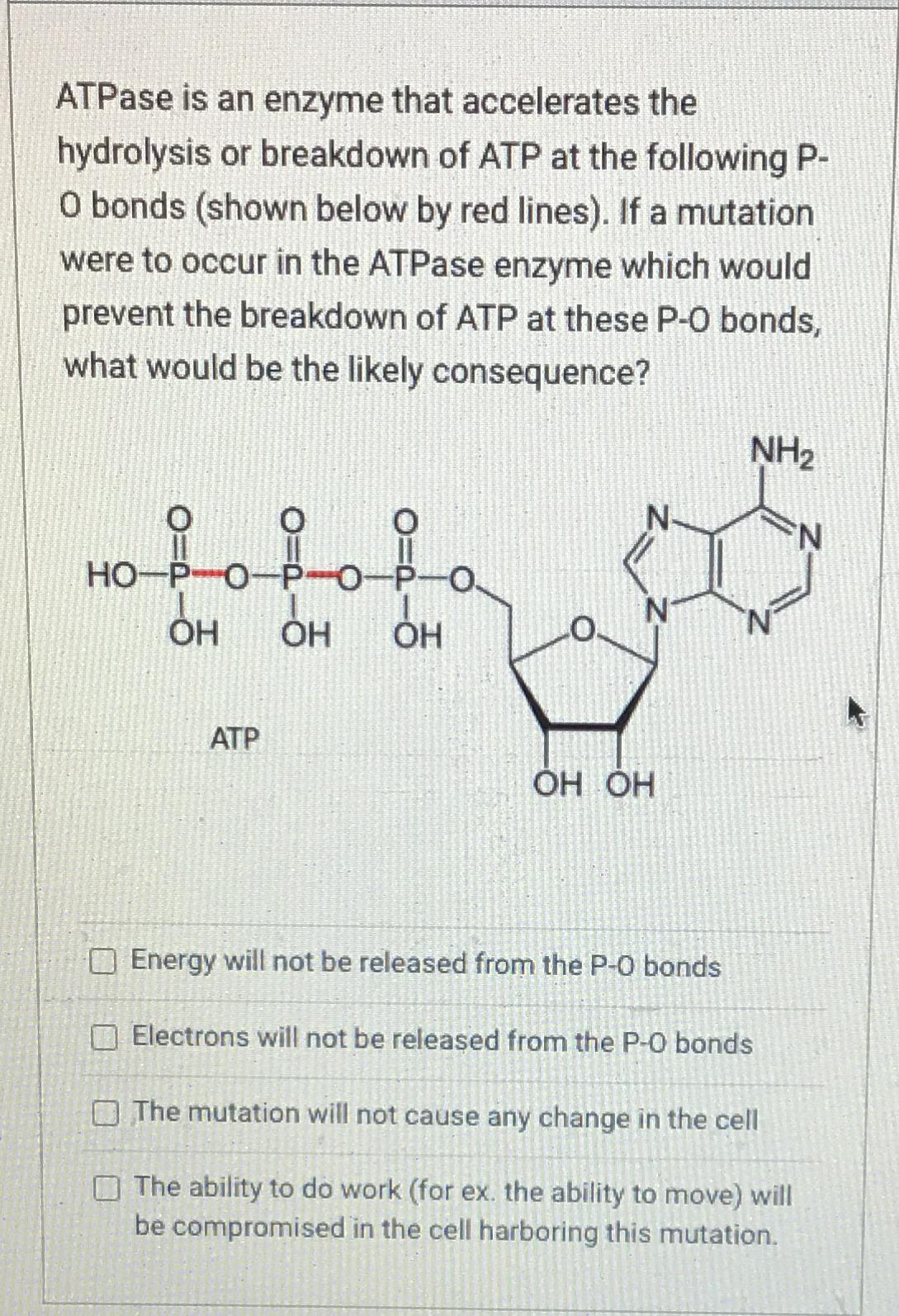 Solved ATPase is an enzyme that accelerates the hydrolysis | Chegg.com