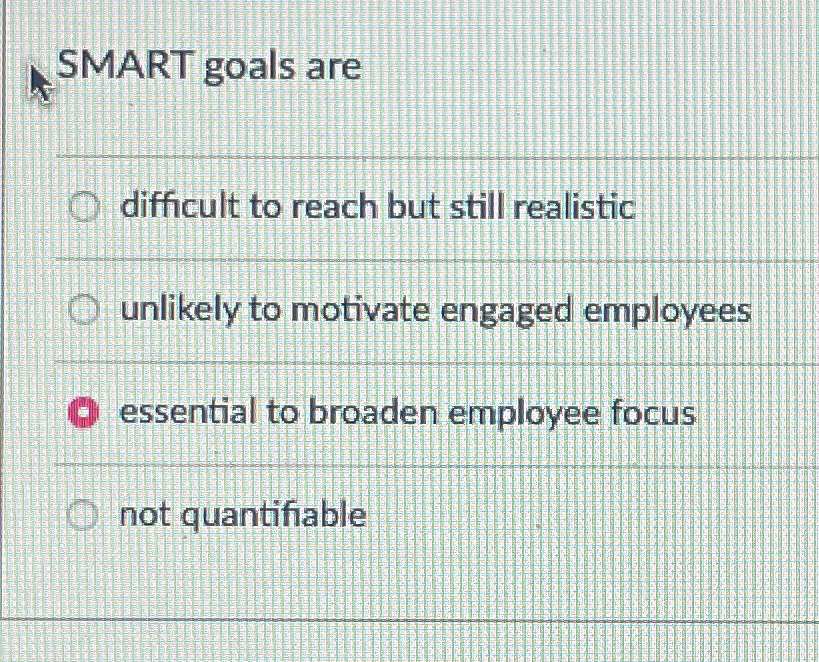 Solved SMART goals aredifficult to reach but still | Chegg.com