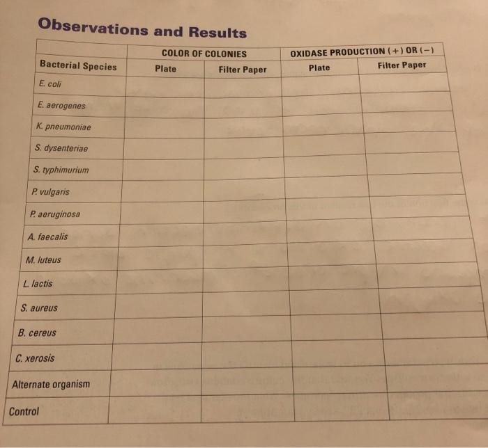 Observations and Results Bacterial Species COLOR OF | Chegg.com