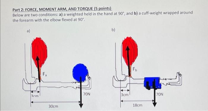 Solved Part 2: FORCE, MOMENT ARM, AND TORQUE (5 points) | Chegg.com