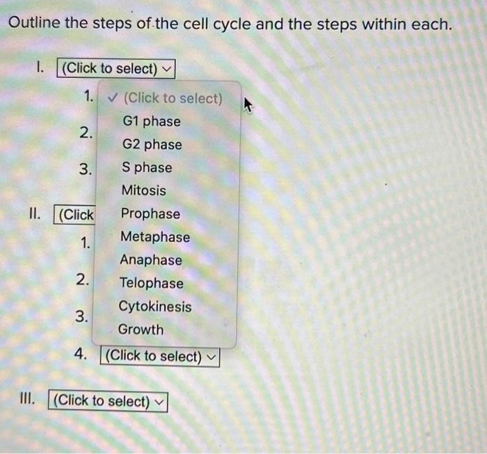 Solved Outline the steps of the cell cycle and the steps | Chegg.com