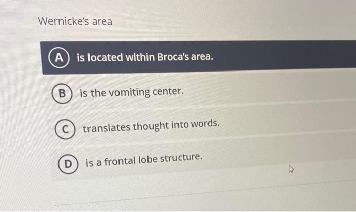 Solved Wernicke's area is located within Broca's area. is | Chegg.com