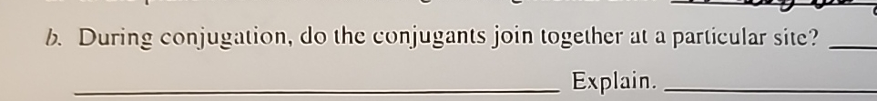 Solved b. ﻿During conjugation, do the conjugants join | Chegg.com
