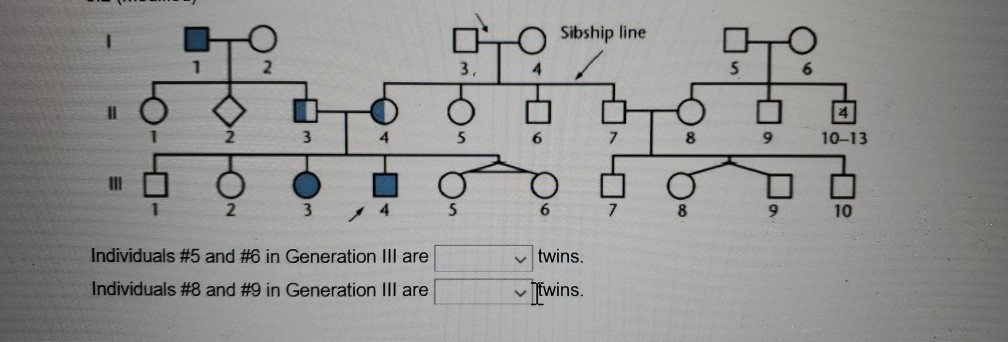Solved Sibship line 2 3. 4 5 6 6 8 9 10-13 HO 2 3 6 8 10 | Chegg.com