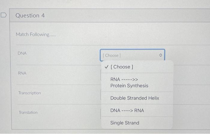 Solved Match Following...... DNA RNA Transcription | Chegg.com