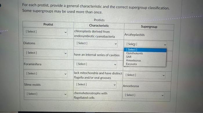Solved For each protist, provide a general characteristic | Chegg.com