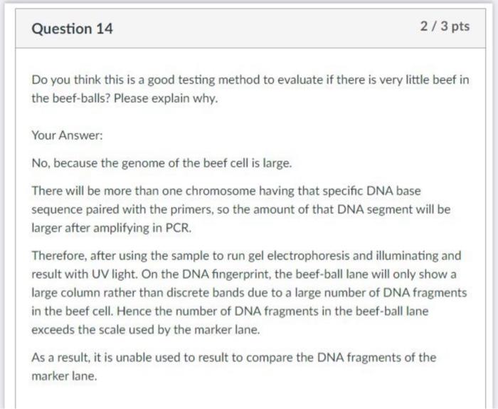 Solved how can I write the question 14 essays in full marks | Chegg.com