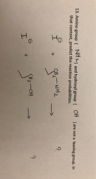 Solved 13. Amino group ( NH2) and hydroxyl group ( OH ) are | Chegg.com