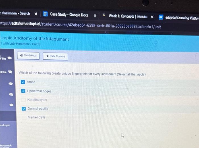 Solved Which of the following create unique fingerprints for | Chegg.com