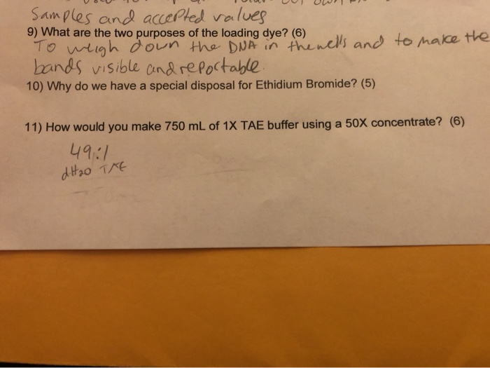 Solved number 11: how would you make 750 mL of 1X TAE buffer | Chegg.com