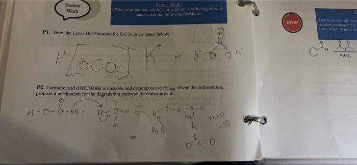 Solved Perkin Reaction In your lab notebook, prepare an | Chegg.com