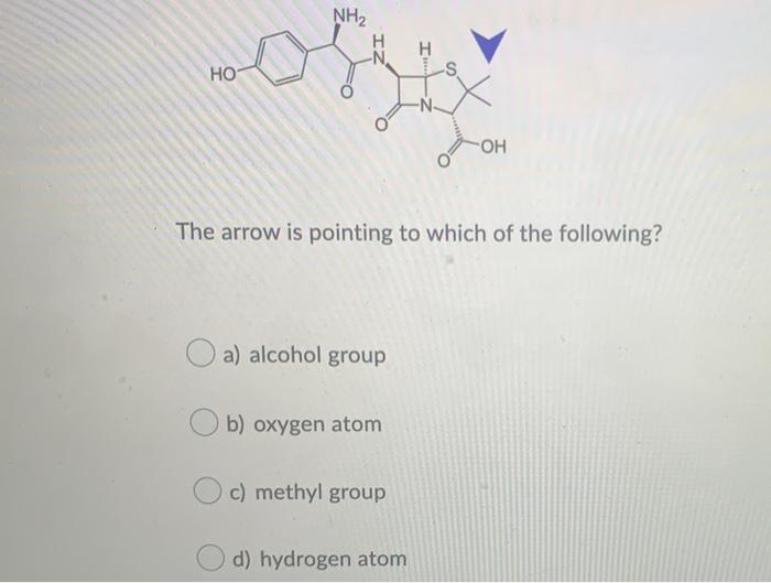 Solved NH2 H -N. H HO S OH The arrow is pointing to which of | Chegg.com