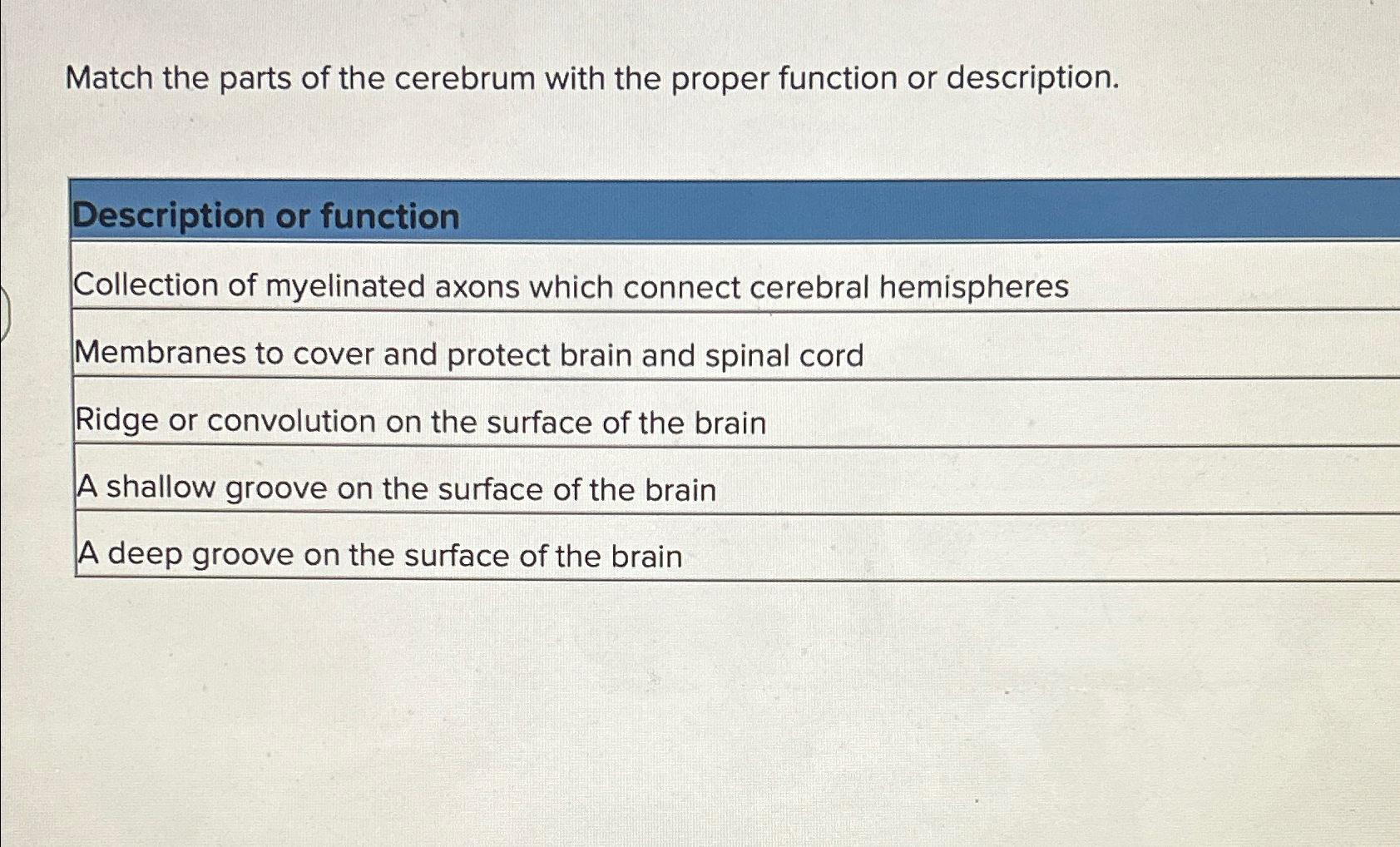 Solved Match the parts of the cerebrum with the proper | Chegg.com