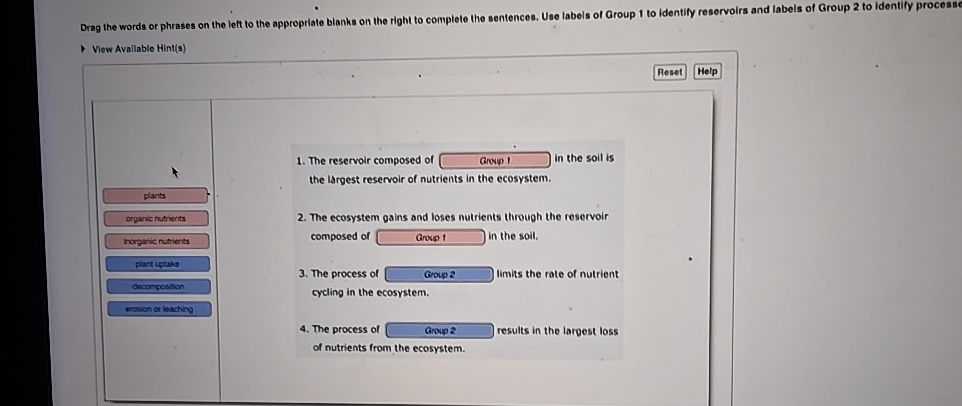 Solved Drag the words or phrases on the left to the | Chegg.com