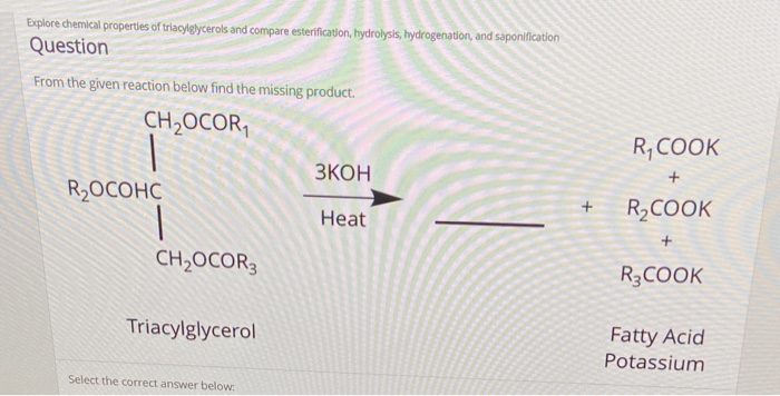 Solved Explore chemical properties of triacylglycerols and | Chegg.com