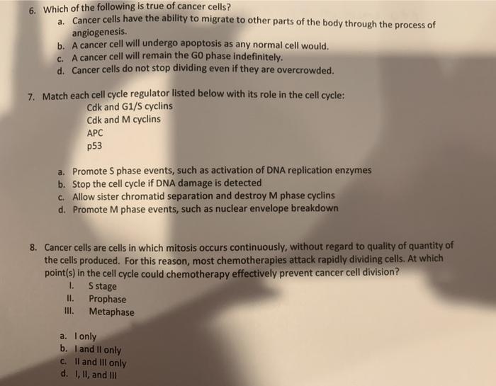Solved A parent cell has 2n = 8 chromosomes. Draw and label | Chegg.com