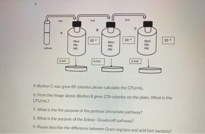 Solved 6. 1ml 1ml 1ml с B 102 104 106 99mi PBS PBS 99ml PBS | Chegg.com