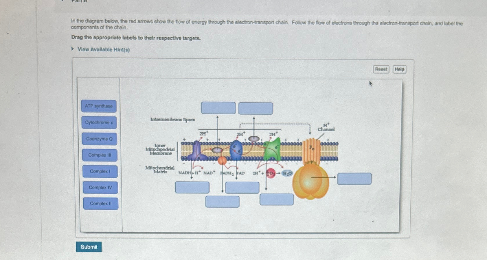 In the diagram below, the red arrows show the flow of | Chegg.com