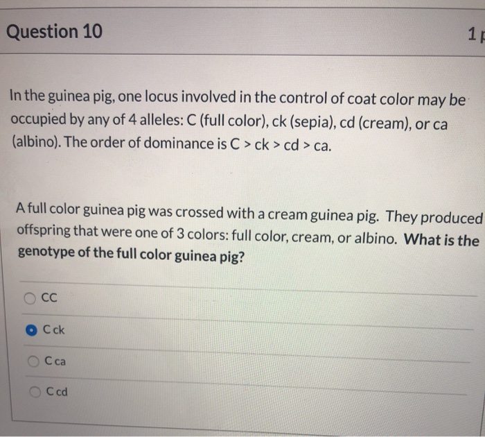 Solved In rats, the following genotypes of 2 independently | Chegg.com