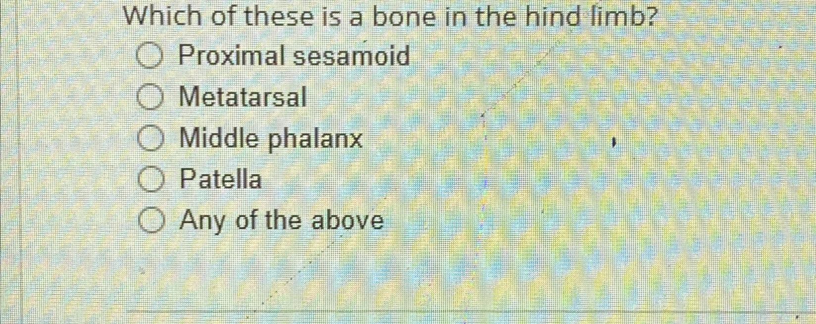 Solved Which of these is a bone in the hind limb?Proximal | Chegg.com