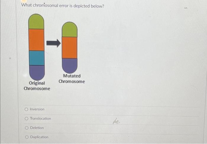 Solved What chromosomal error is depicted below? A) | Chegg.com