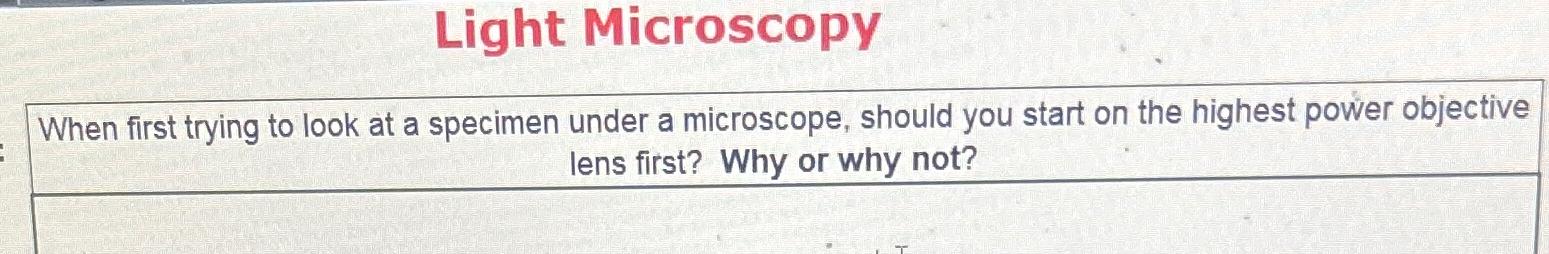 Solved Light MicroscopyWhen first trying to look at a | Chegg.com