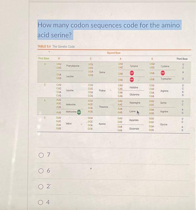 Solved How many codon sequences code for the amino acid | Chegg.com