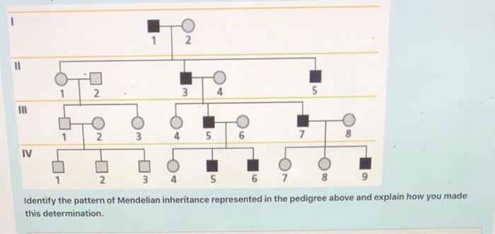 Solved Identify the pattern of Mendelian inheritance | Chegg.com