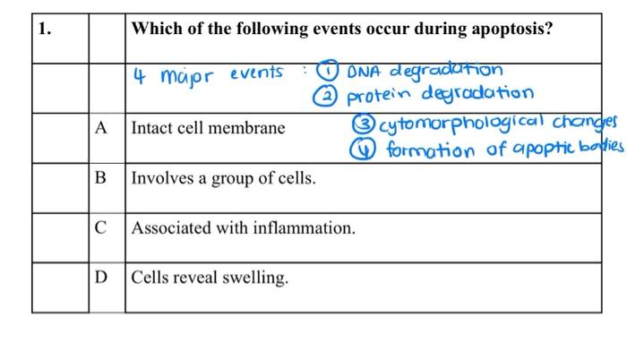 Solved SRA- Topics• Cellular adaptations• Cell injury• Acute | Chegg.com