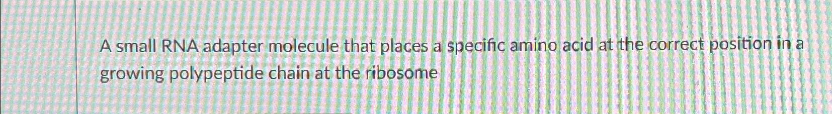 Solved A small RNA adapter molecule that places a specific | Chegg.com