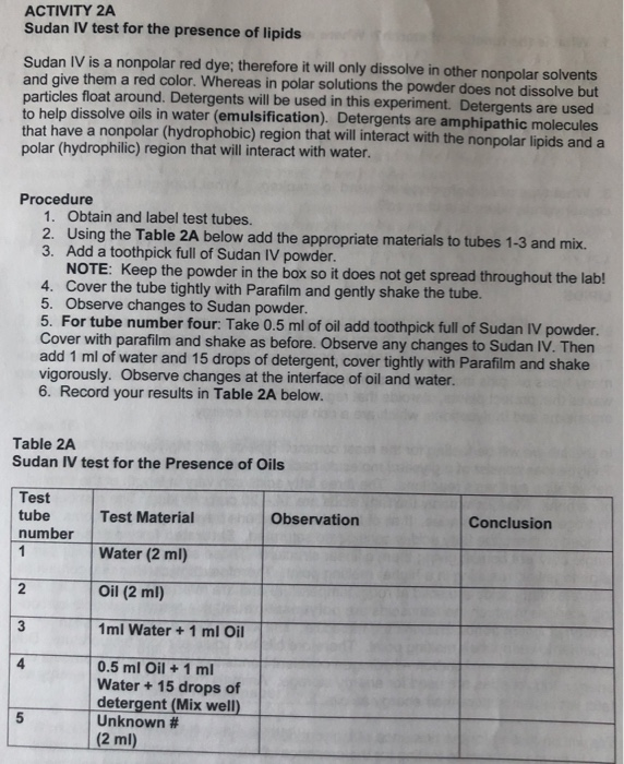 ACTIVITY 2A Sudan IV test for the presence of lipids | Chegg.com