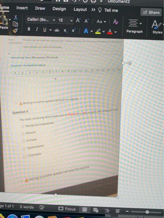 Solved Document2 Home Insert Draw Design Layout » Tell me | Chegg.com