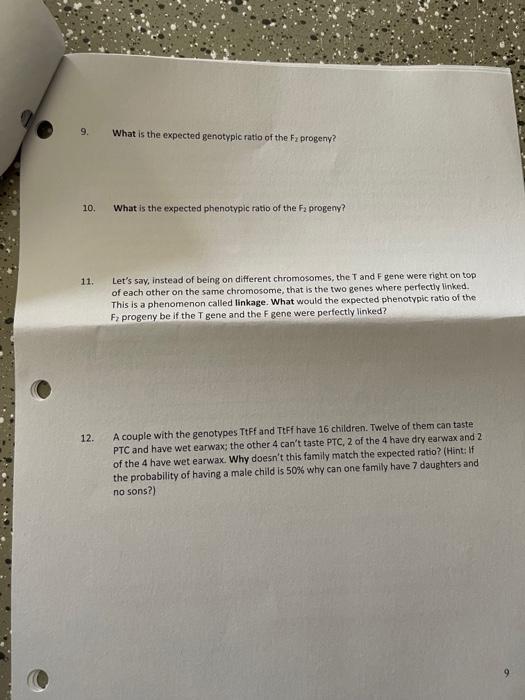 Activity E: Predicting the outcome of a dihybrid | Chegg.com