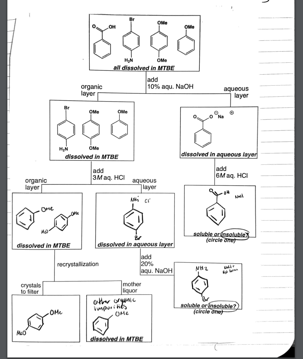 Solved I have attached the flow chart that was completed in | Chegg.com