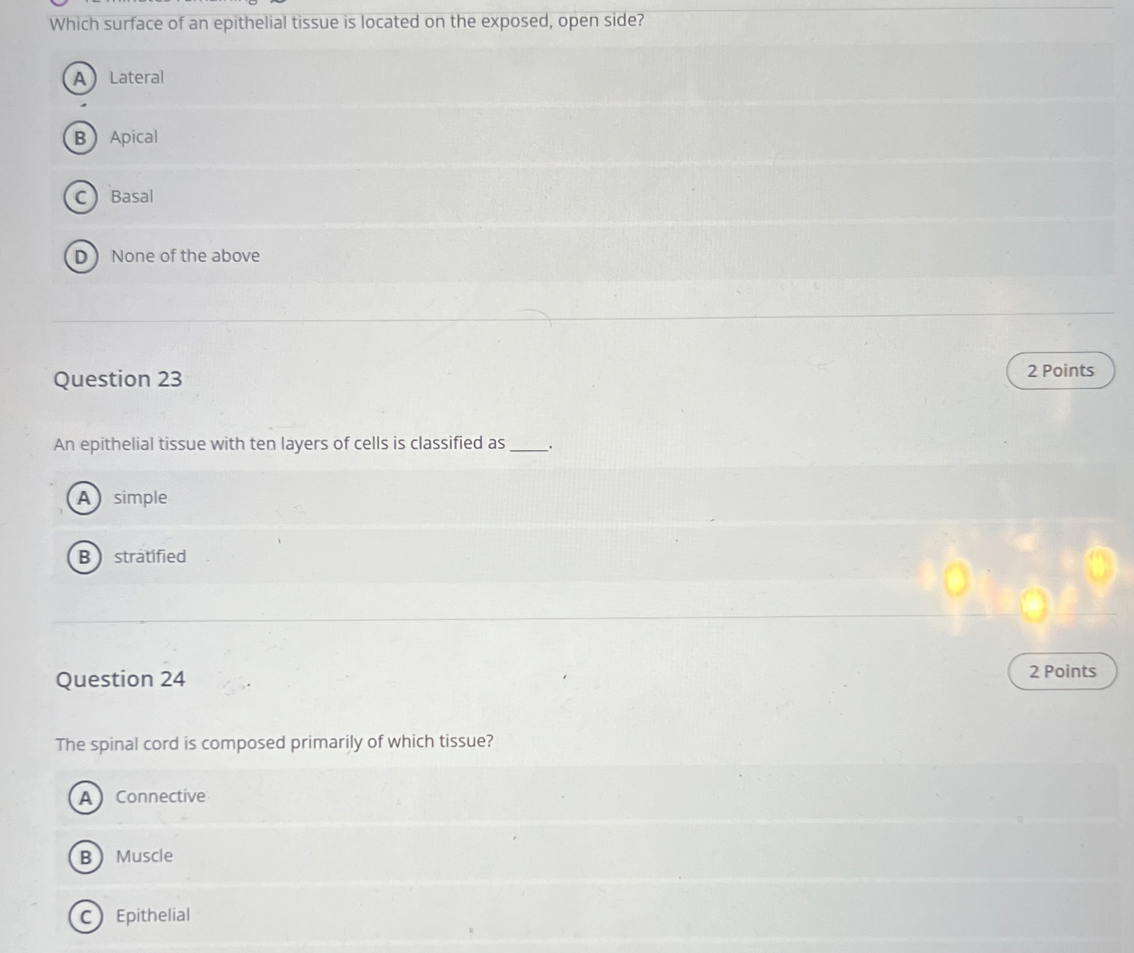 Solved Which surface of an epithelial tissue is located on | Chegg.com