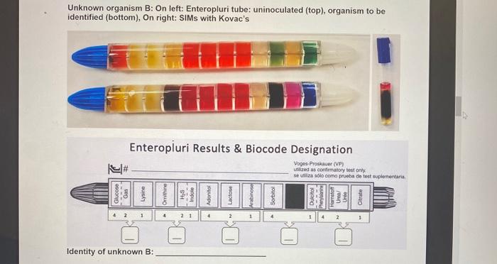 Solved Interpret the color images, complete the Entropluri | Chegg.com