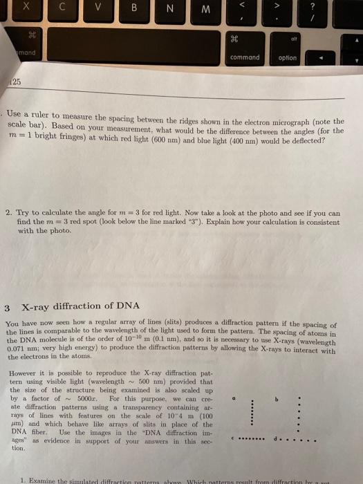 Lengths. Diffraction gratings in biology Beetles of | Chegg.com