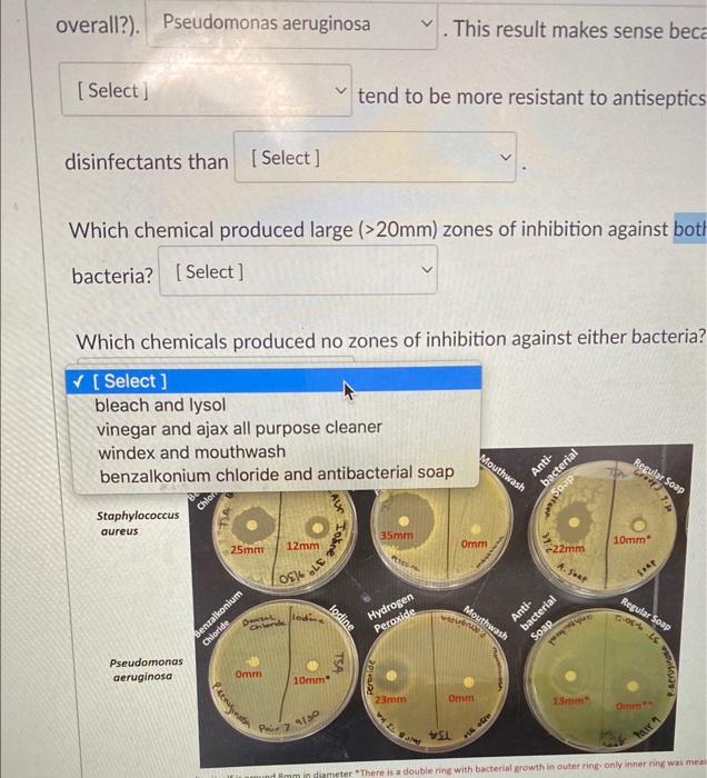 Solved drop down options. 1. staphlococcus | Chegg.com
