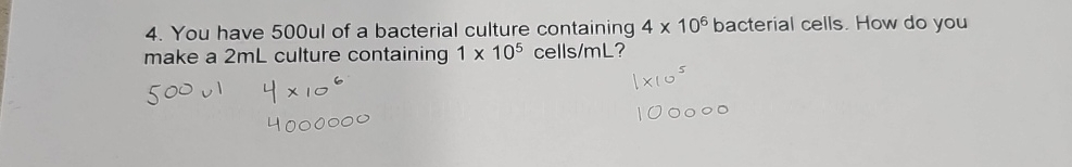 Solved You have 500 ﻿ul of a bacterial culture containing | Chegg.com