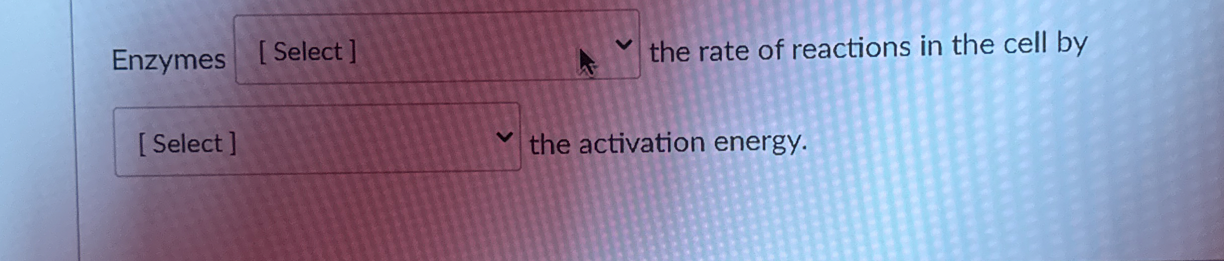 Solved Enzymes ﻿the rate of reactions in the cell by ﻿he | Chegg.com