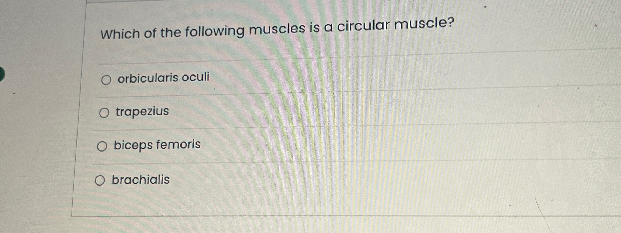 Solved Which of the following muscles is a circular | Chegg.com