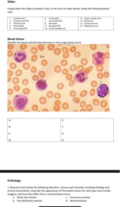 Solved Slides Using either the slides provided in lab, or | Chegg.com