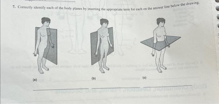 Solved 7. Correctly identify each of the body planes by | Chegg.com