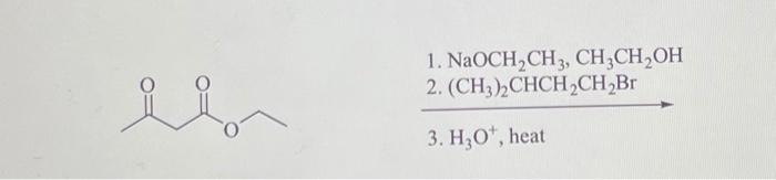 Solved 1. NaOCH2CH3,CH3CH2OH 2. (CH3)2CHCH2CH2Br 3. H3O+, | Chegg.com