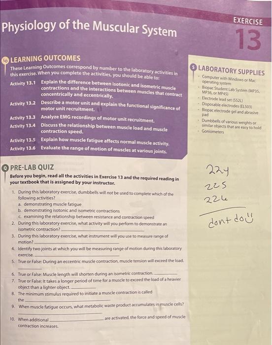 EXERCISE Physiology of the Muscular System 13 | Chegg.com