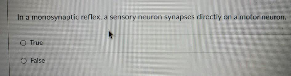 Solved In a monosynaptic reflex, a sensory neuron synapses | Chegg.com