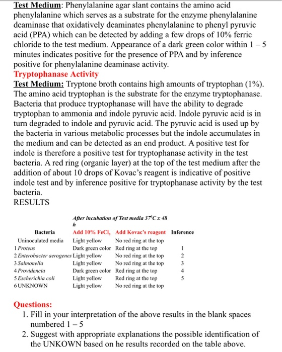 Solved TEST MEDIA Amylase activity Starch agar plate. An | Chegg.com