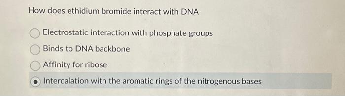 Solved How does ethidium bromide interact with DNA | Chegg.com